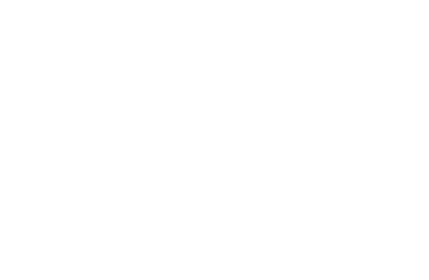 Investments — Advent International