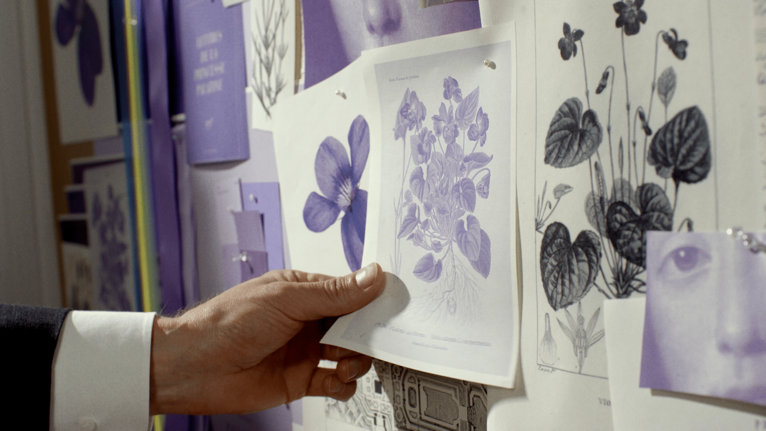 Culligan: a thirst for growth — Advent International